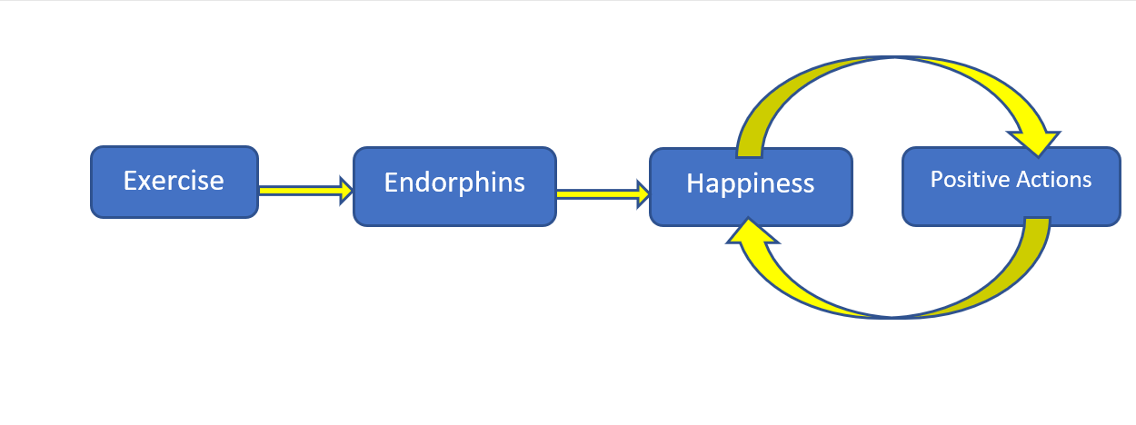 Motivation to Exercise: The Endorphin High Makes You Happy - The ...